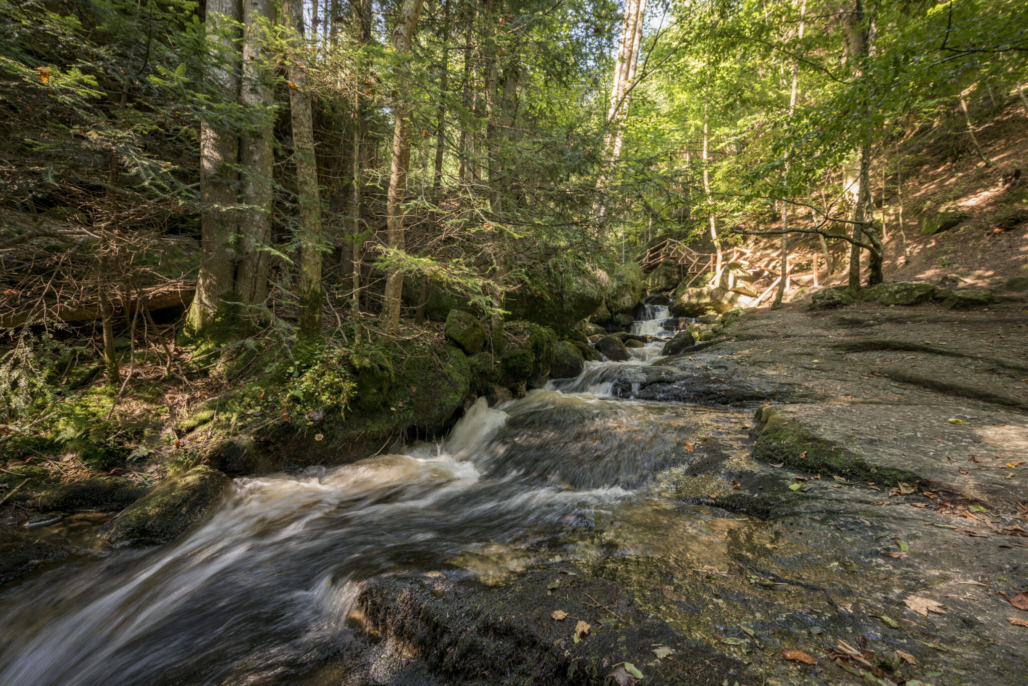 Ysperklamm - Forellenhof Ysperklamm